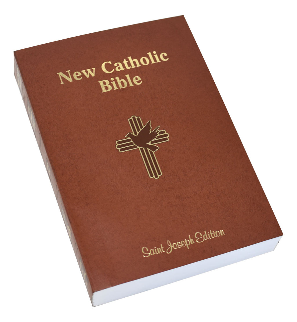 St. Joseph New Catholic Bible (Student Edition-Large Type) – Catholic ...