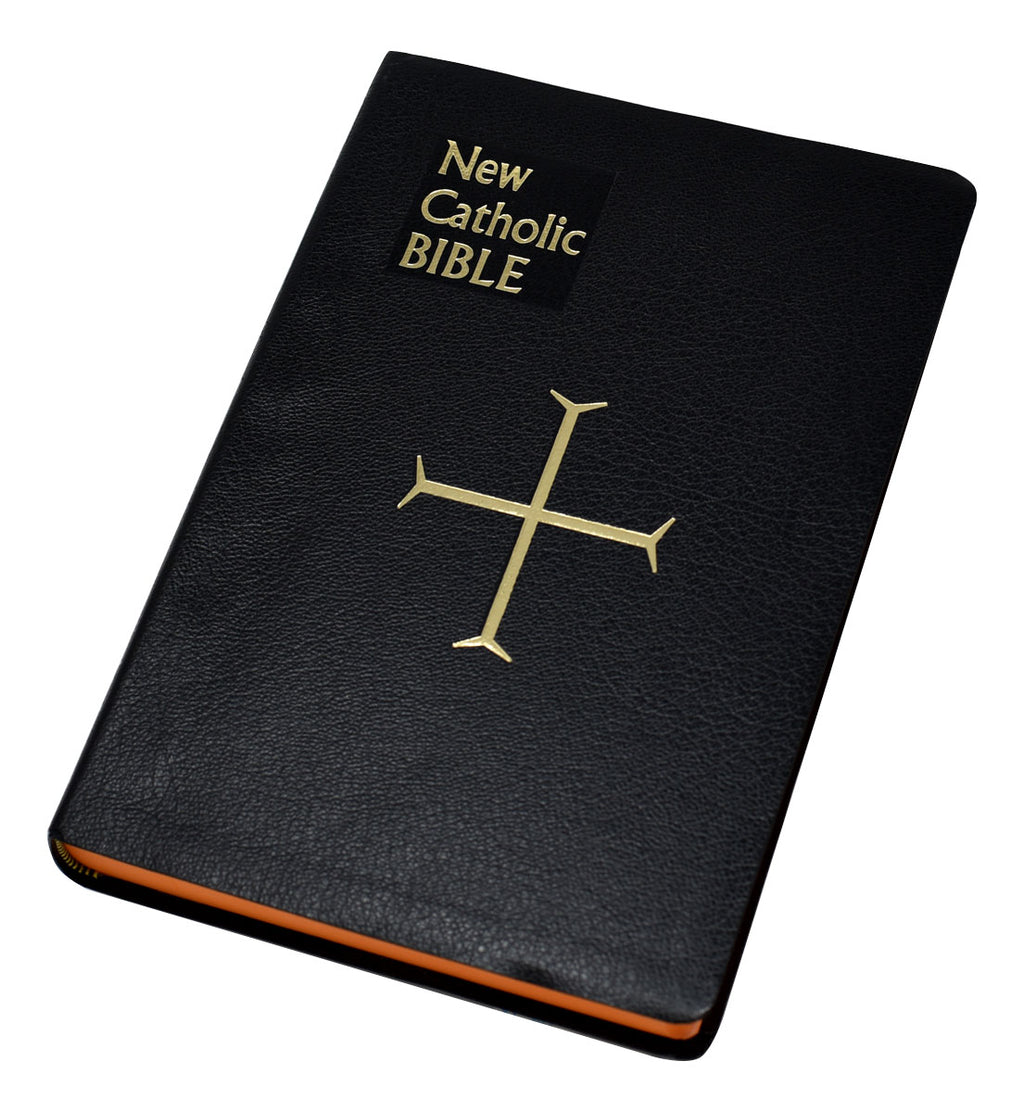St. Joseph New Catholic Bible (Gift Edition - Large Type) – Catholic ...