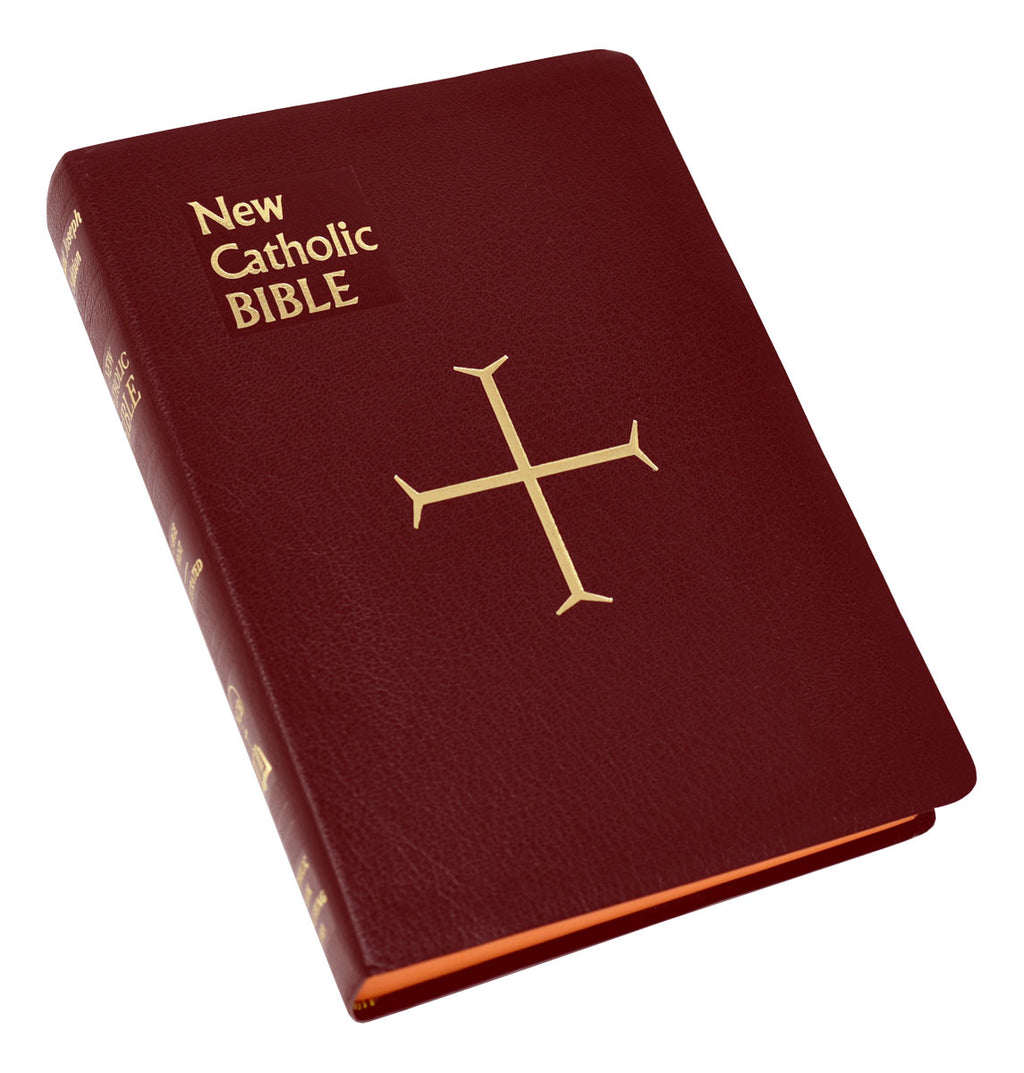 St. Joseph New Catholic Bible (Gift Edition - Large Type) – Catholic ...