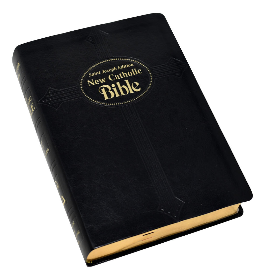 St. Joseph New Catholic Bible (Gift Edition - Large Type) – Catholic ...