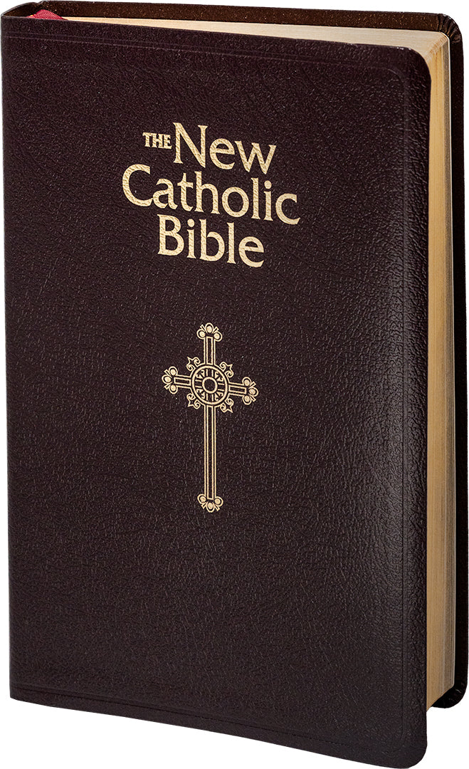 NCB Deluxe Gift Bible – Catholic Book Publishing