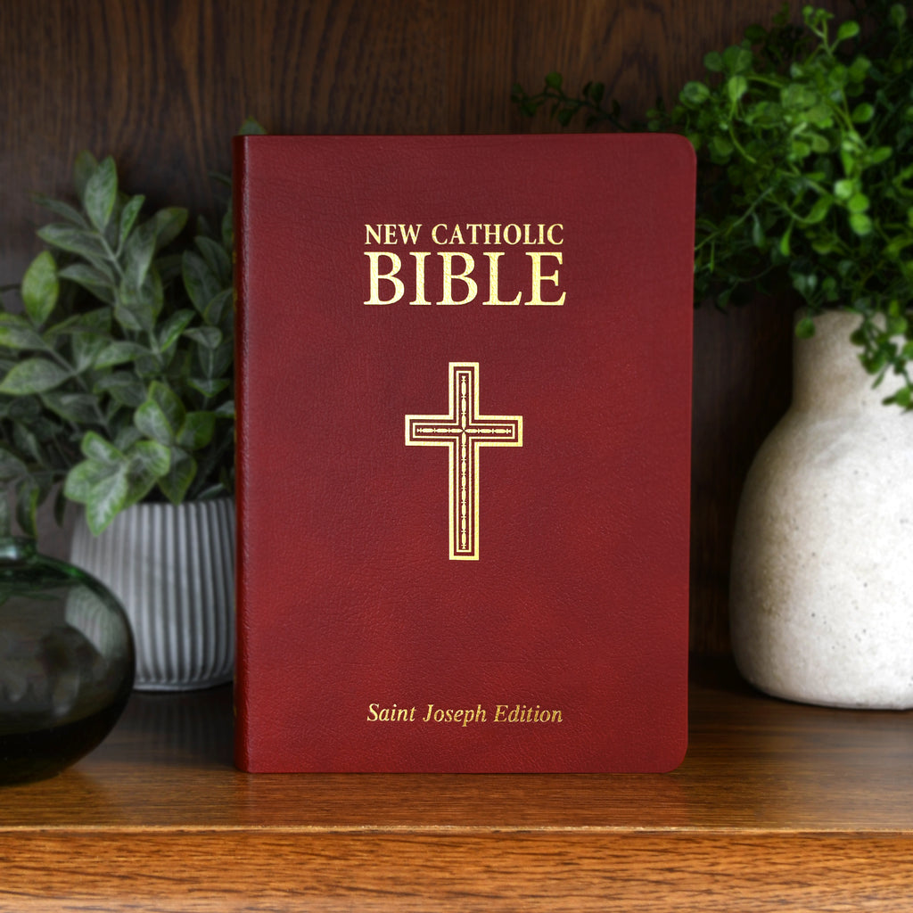 St. Joseph New Catholic Bible (Gift Edition-Personal Size) – Catholic ...