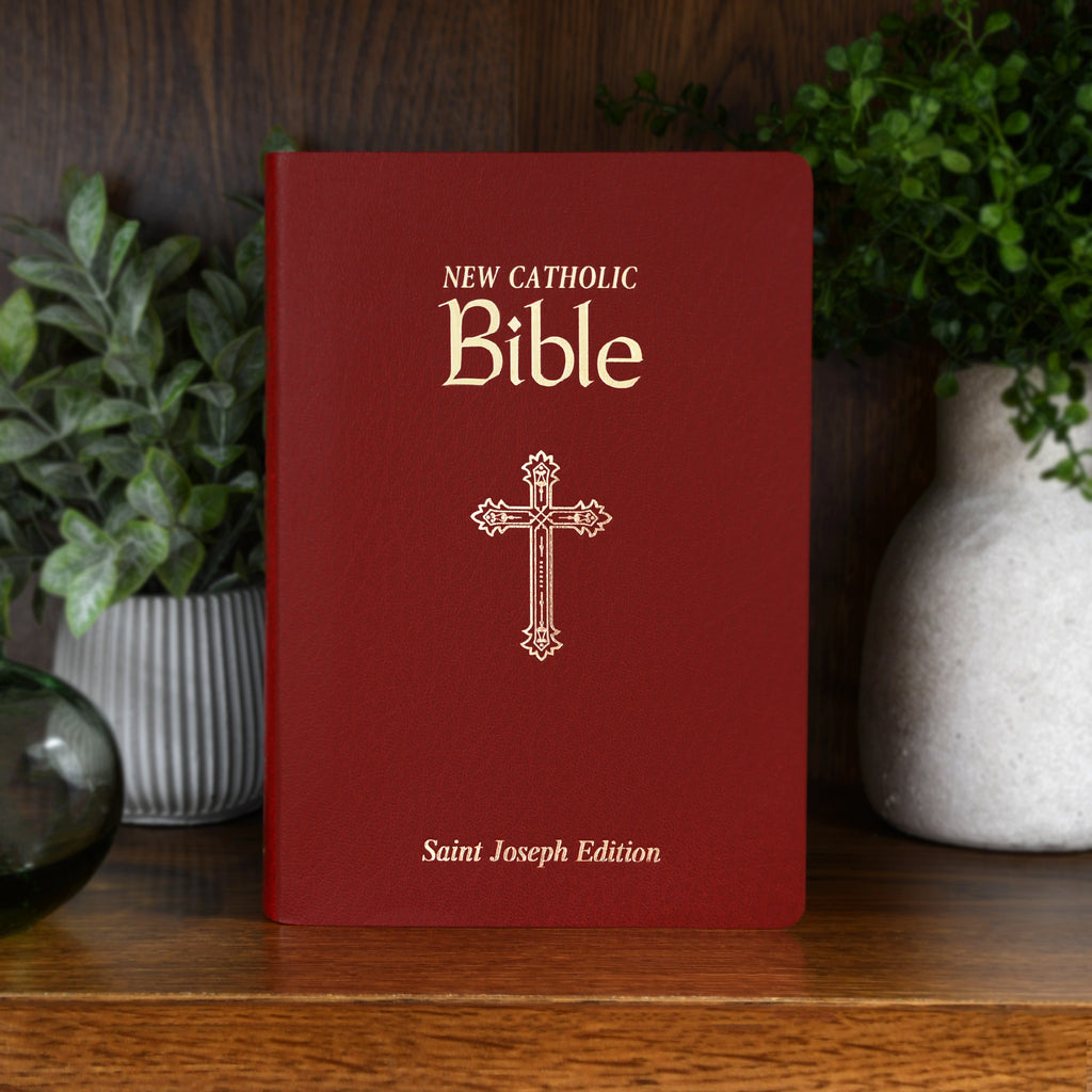St. Joseph New Catholic Bible (Gift Edition-Personal Size) – Catholic ...