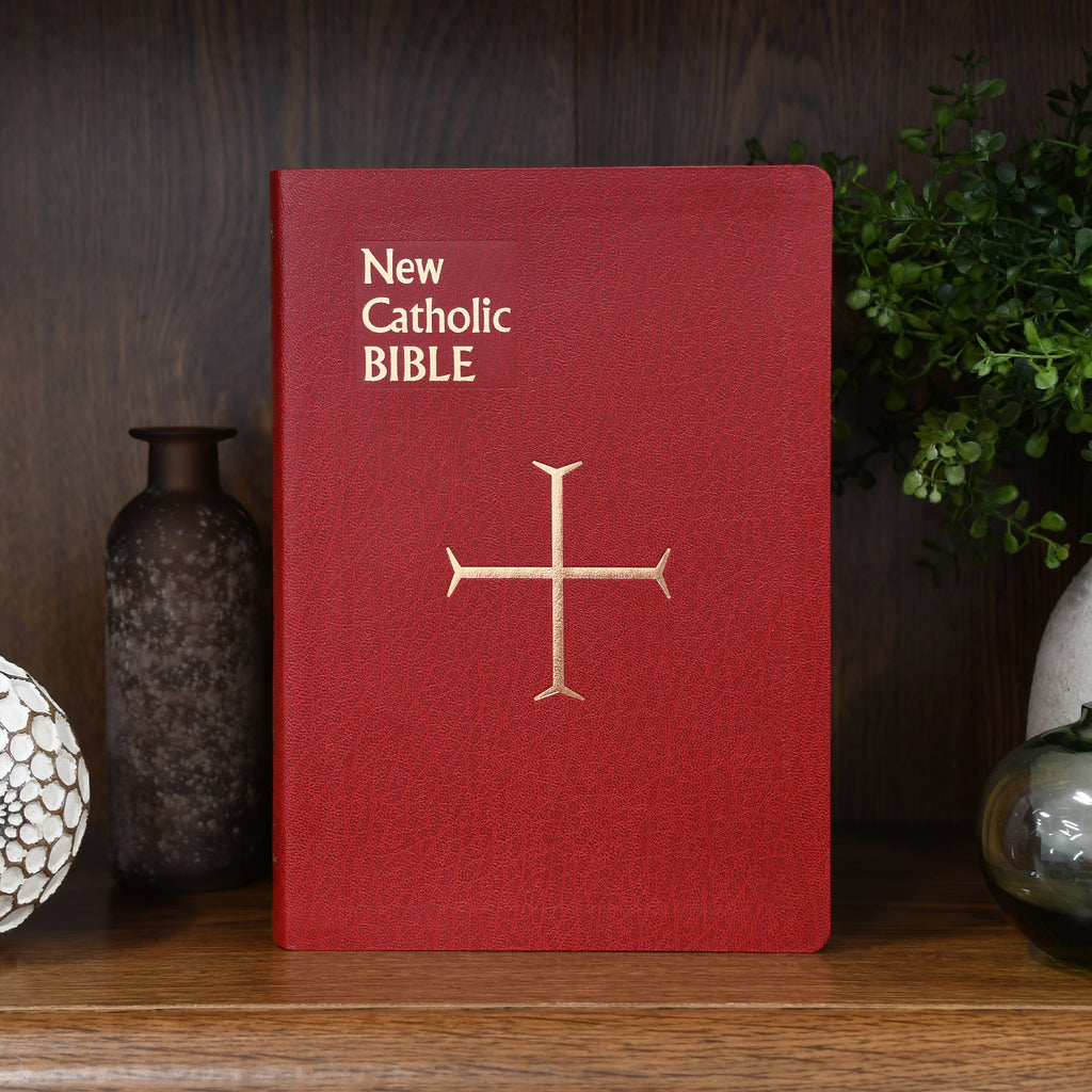 St. Joseph New Catholic Bible (Gift Edition - Large Type) – Catholic ...