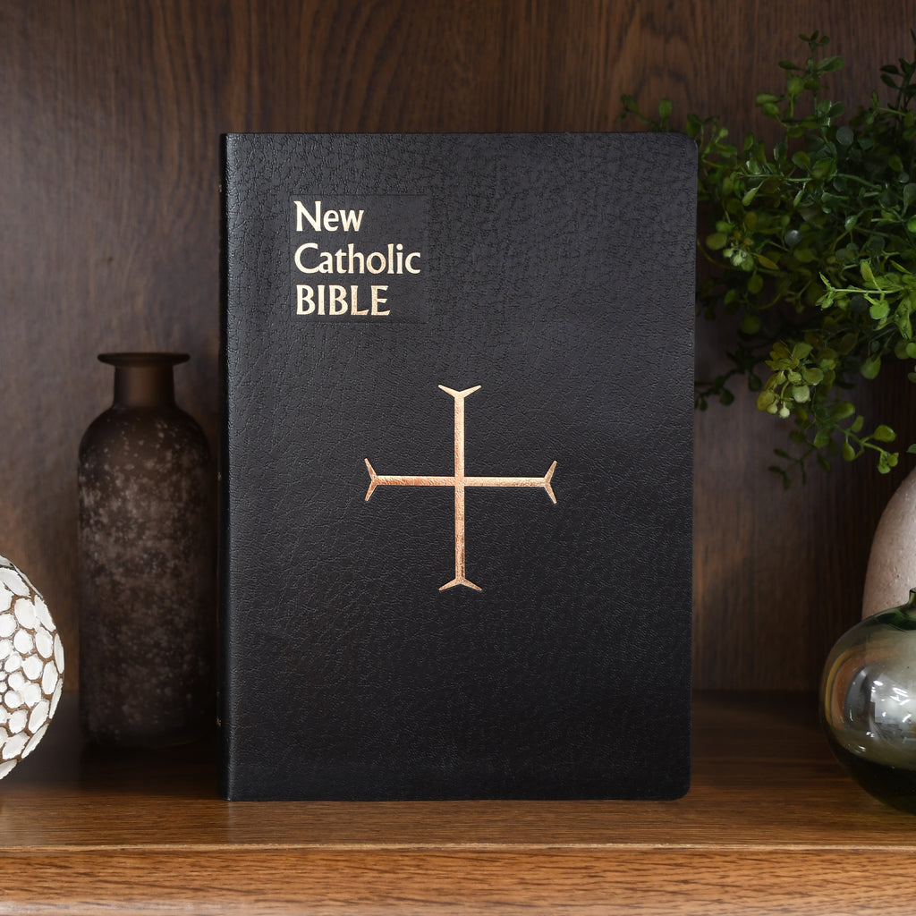 St. Joseph New Catholic Bible (Gift Edition - Large Type) – Catholic ...