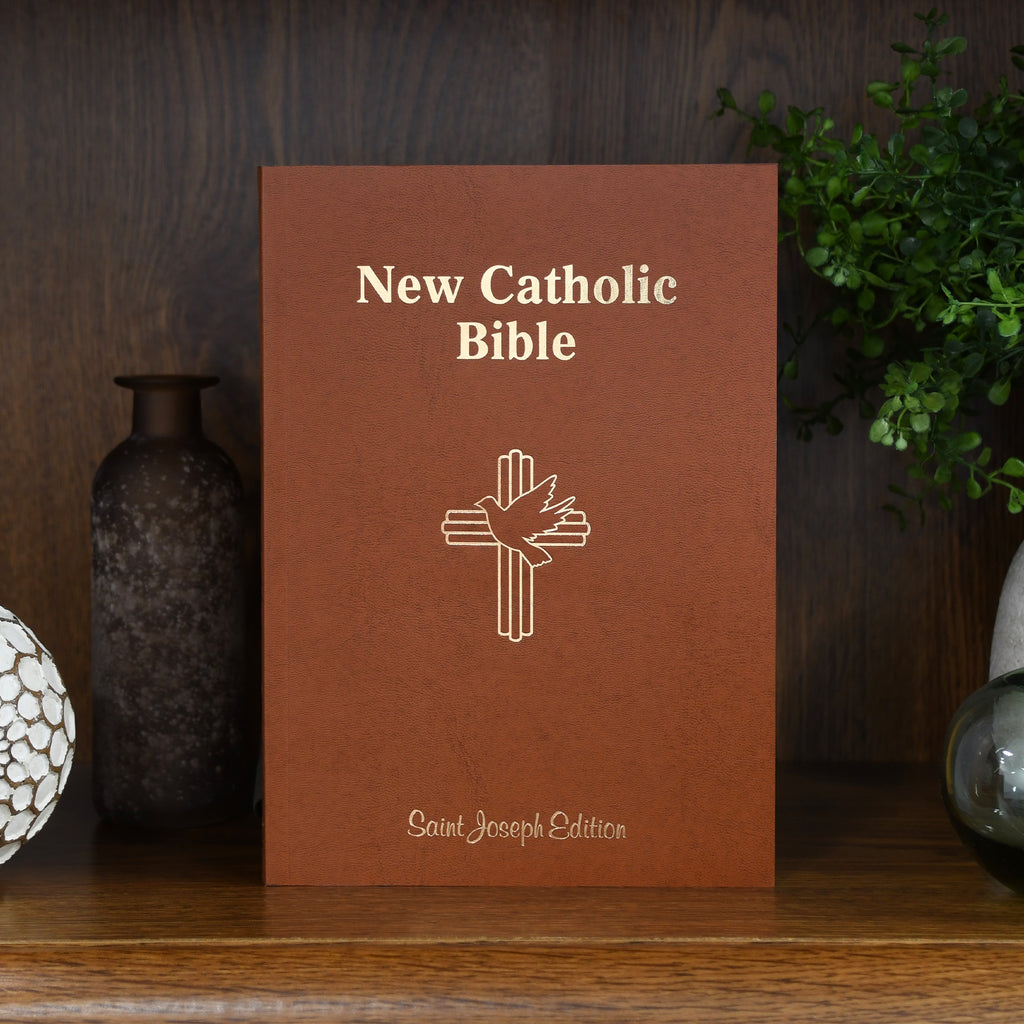 St. Joseph New Catholic Bible (Student Edition-Large Type) – Catholic ...