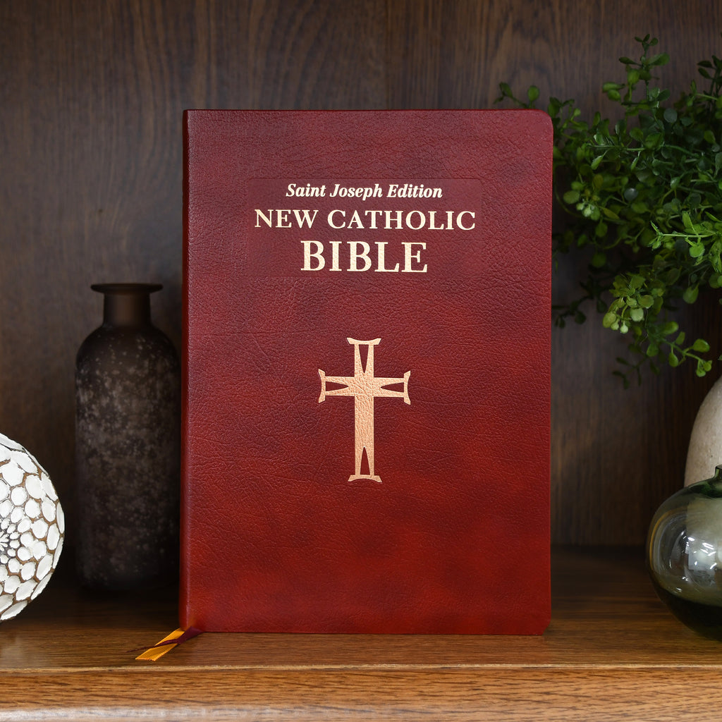 St. Joseph New Catholic Bible (Gift Edition - Large Type) – Catholic ...