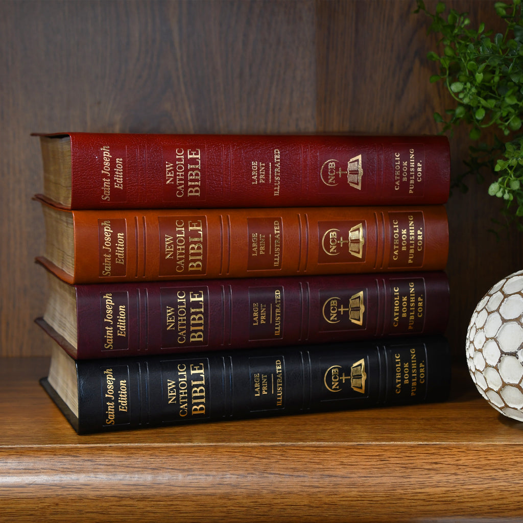 St. Joseph New Catholic Bible (Gift Edition - Large Type) – Catholic ...